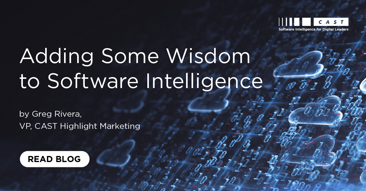 Adding Some Wisdom to Software Intelligence